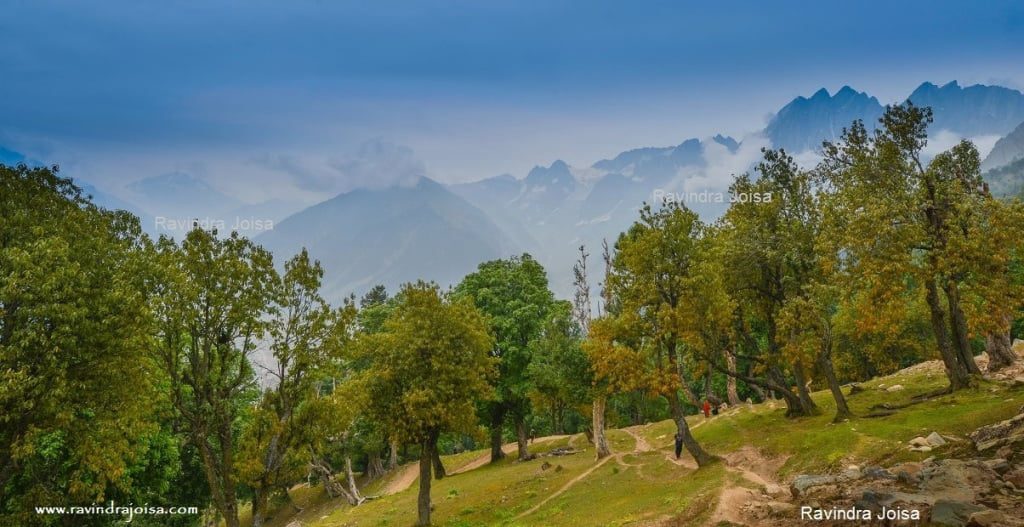 Kashmir Great Lakes Trek from Sonamarg to Nichnai